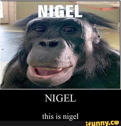 Nigel Dikenli Mem