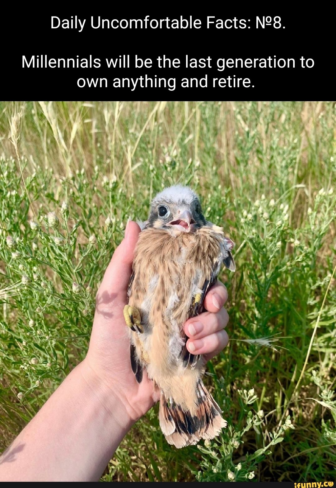 Daily Uncomfortable Facts: Millenn Is will be the last generation to ...