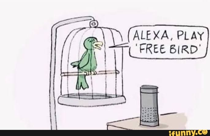 ALEXA, PLAY "FREE BIRD - iFunny Brazil