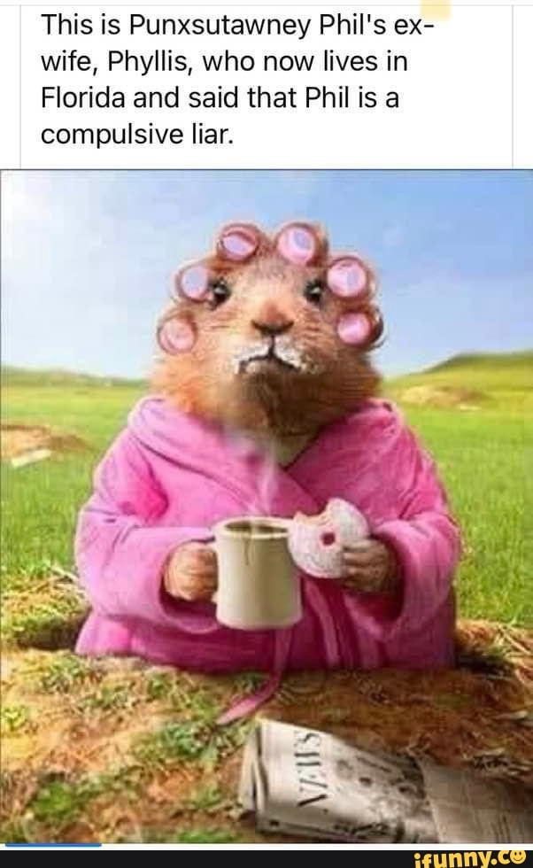 This is Punxsutawney Phil's ex- wife, Phyllis, who now lives in Florida ...