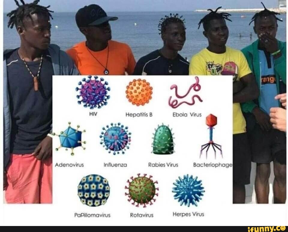 Meme Del Virus Del ébola