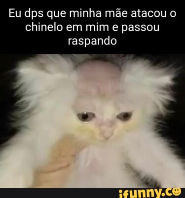 Eu dps que minha mãe atacou chinelo em mim passou raspando - iFunny Brazil
