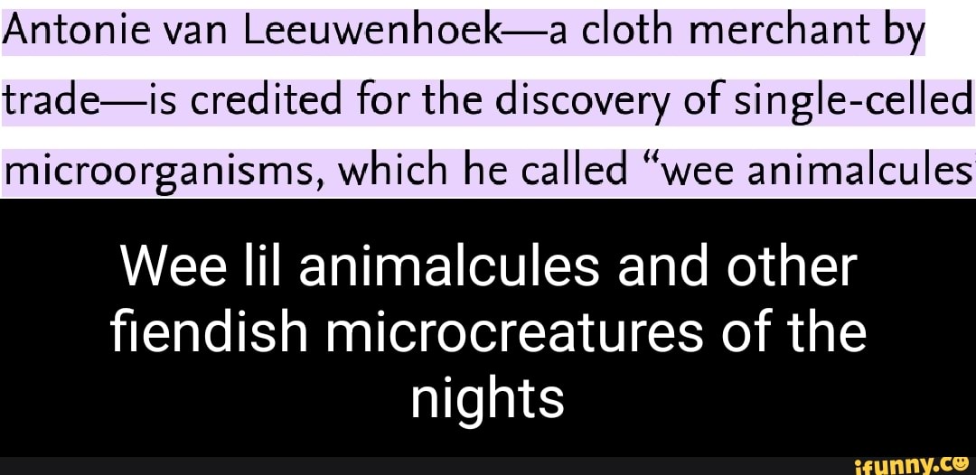 Leeuwenhoek Animalcules