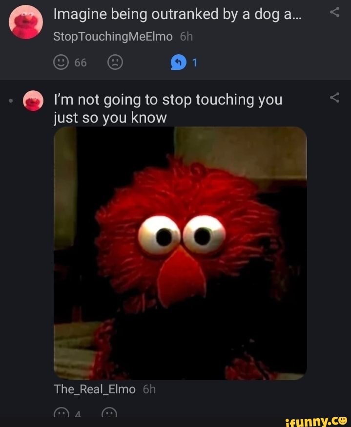 Imagine being outranked by dog a...