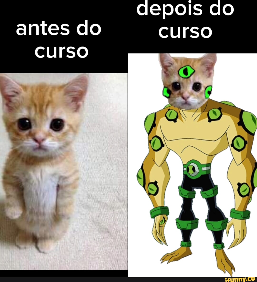Antes Do Curso Depois Do Curso Meme - FDPLEARN