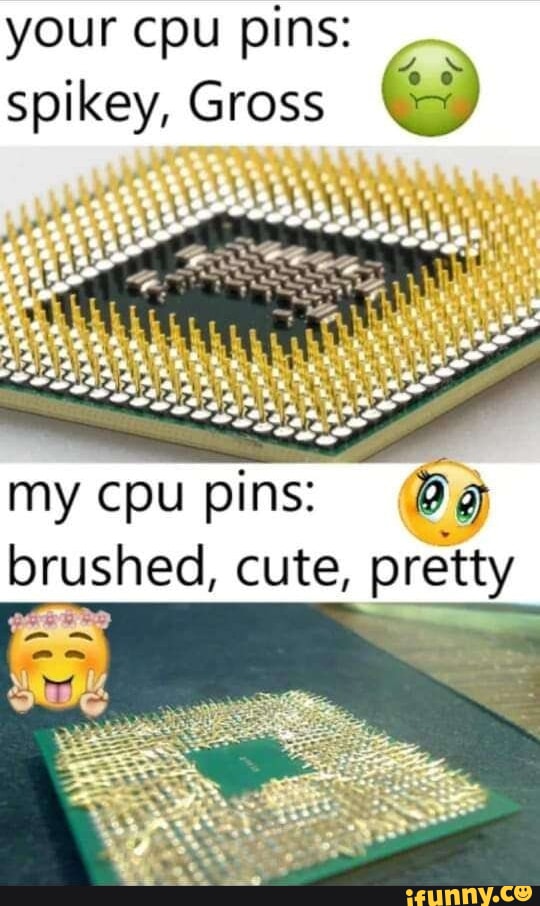 Your cpu pins: spikey, Gross my cpu pins: brushed, cute, pretty ...