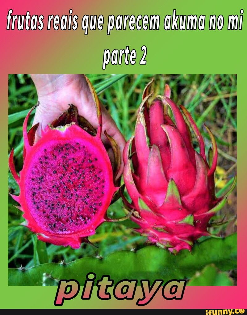 Frutas reais que parecem akuma no mi parte 2 - iFunny Brazil