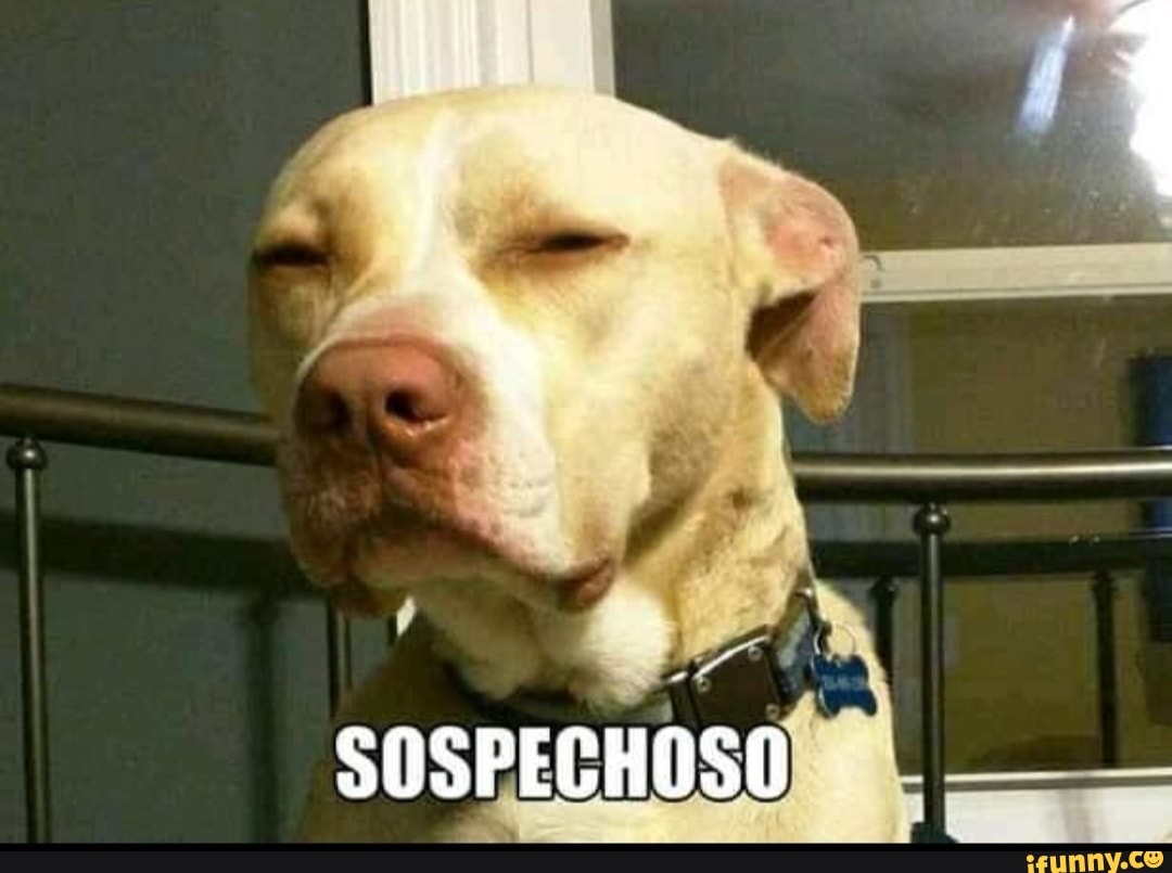 Meme Sospechoso