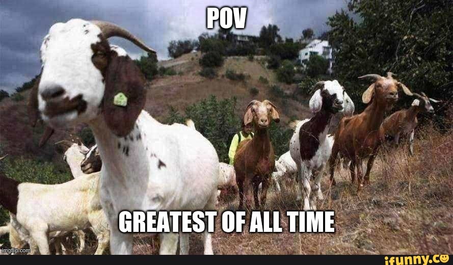 Greatest Of All Time Goat Meme