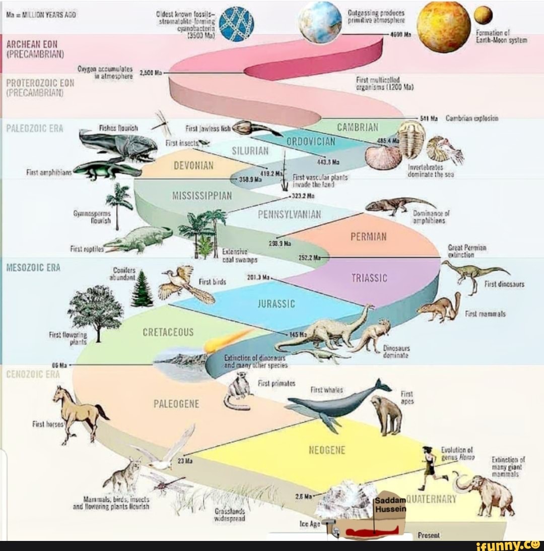 Ia = WULUON YERRS Oldest krowe fossils algassing produces stromalsite ...