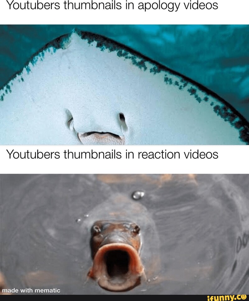 Yyoutubers thumbnails in apology videos Youtubers thumbnails in ...