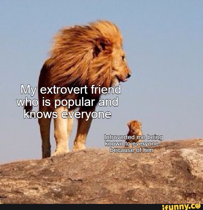 My extrovert friend who is popular and knows everyone Ivtroverted me ...