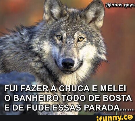 Bos ga! FUI FAZER À CHUCA E MELEI O BANHEIRO TODO DE BOSTA E DE FUDE ...