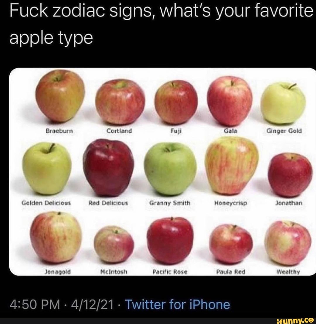 Gager memes. Best Collection of funny Gager pictures on iFunny Brazil
