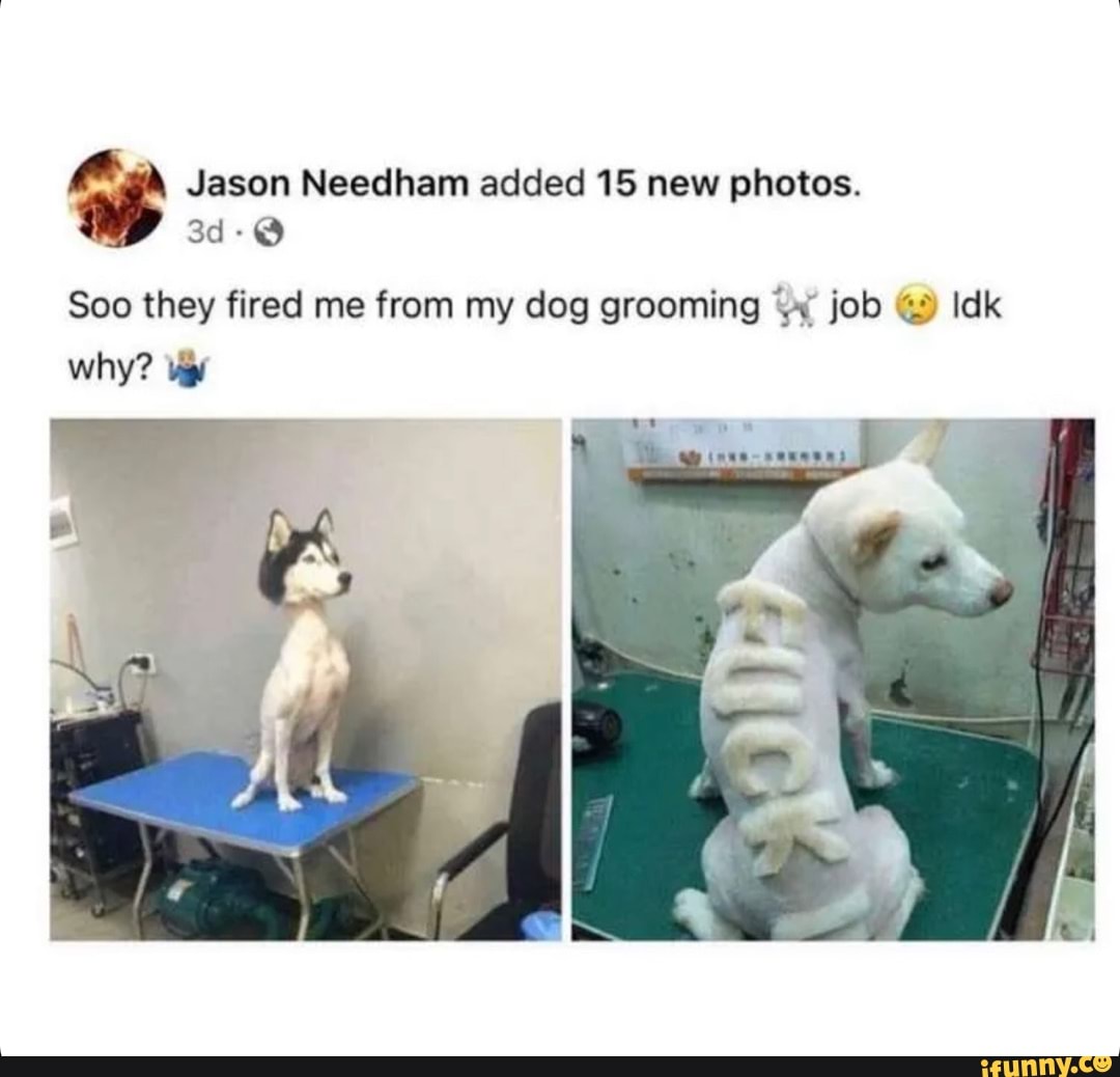 Jason Needham added 15 new photos. Soo they fired me from my dog ...