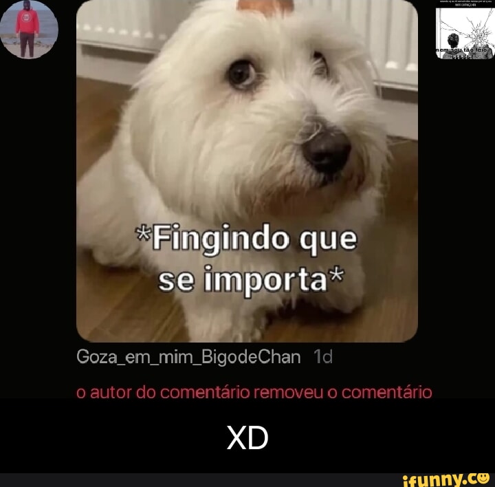 Bigodechan memes. Best Collection of funny Bigodechan pictures on ...