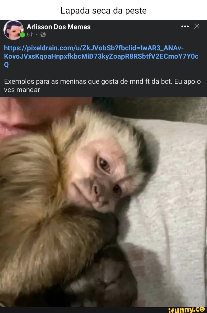 Lapada seca da peste Arlisson Dos Memes X ANAv ...