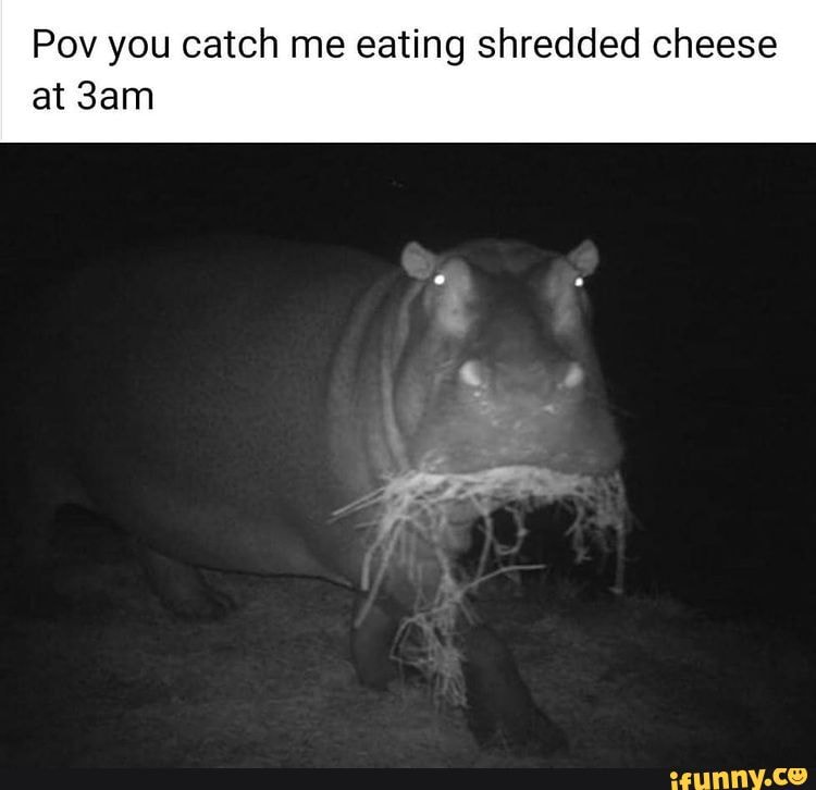 Pov you catch me eating shredded cheese at - iFunny Brazil