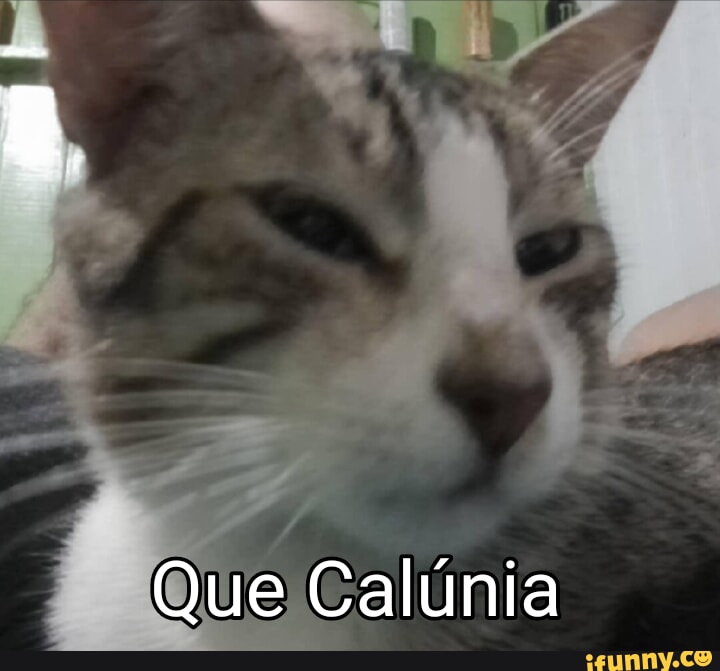Que Calúnia - iFunny Brazil
