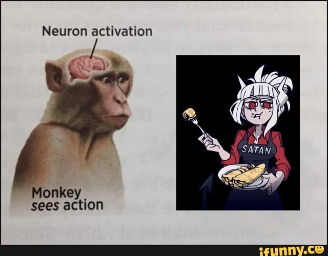 Neuron activation Monkey sees action - iFunny Brazil