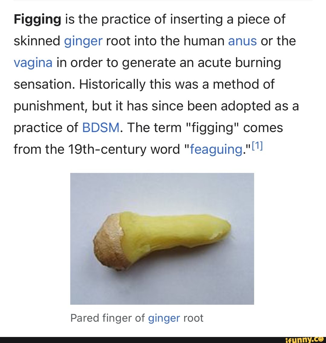 Figging is the practice of inserting a piece of skinned ginger root ...