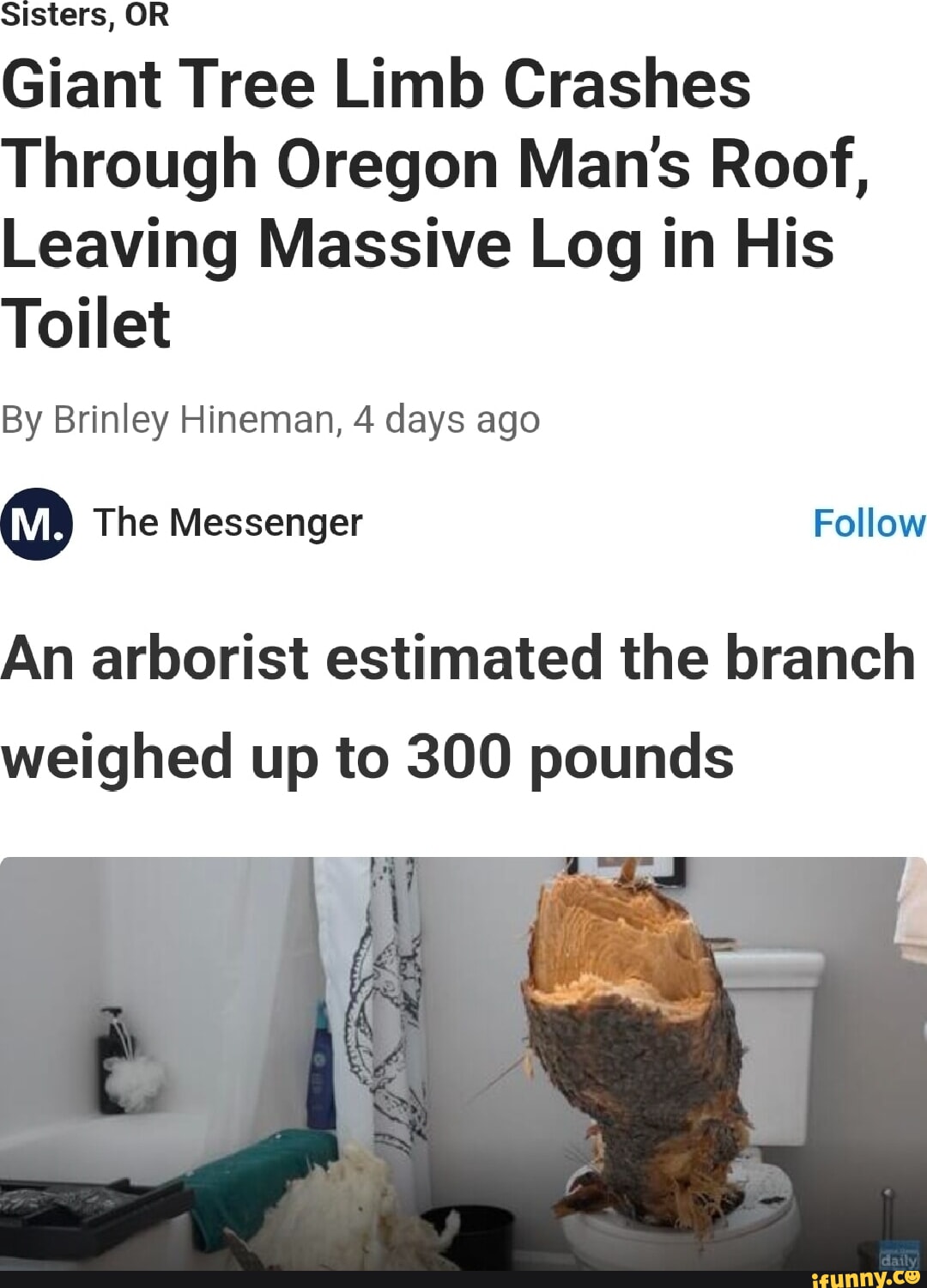 Sisters, OR Giant Tree Limb Crashes Through Oregon Man's Roof, Leaving ...