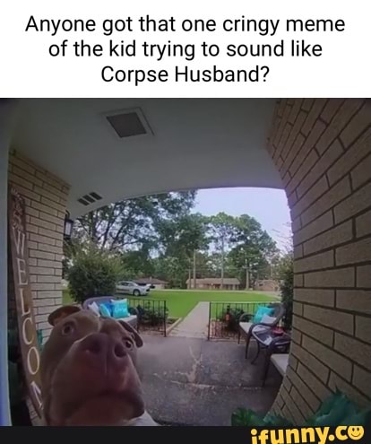 Anyone got that one cringy meme of the kid trying to sound like Corpse ...