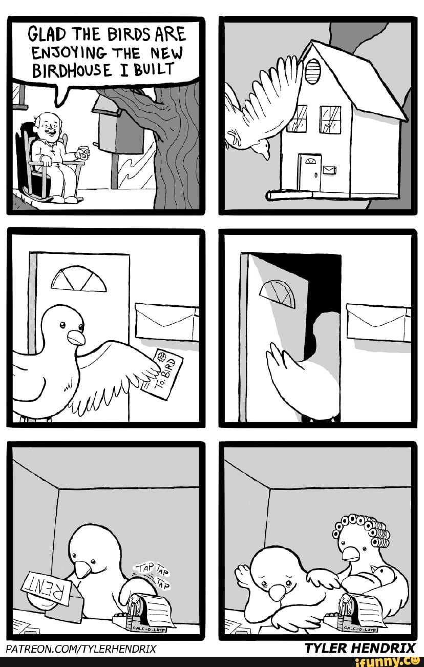 GLAD THE BIRDS ARE ENSOVING THE NEW BIRDHOUSE I BUILT PATREON. TYLER ...