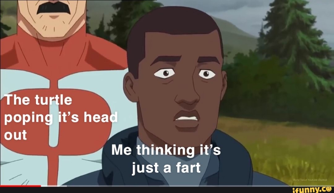 The turtle poping t's head out Me thinking it's just a fart - iFunny Brazil