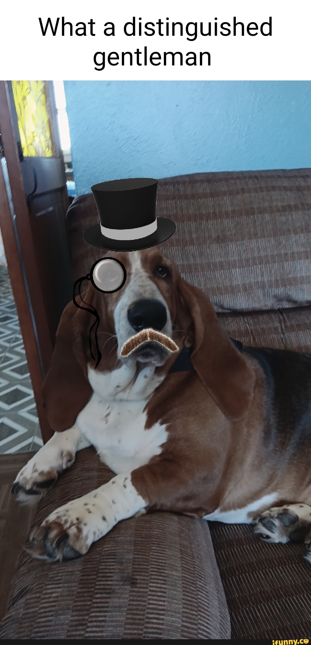 What a distinguished gentleman - iFunny Brazil