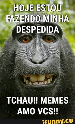 TCHAU!! MEMES - iFunny Brazil