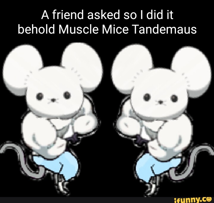 A friend asked so I did it behold Muscle Mice Tandemaus - iFunny Brazil