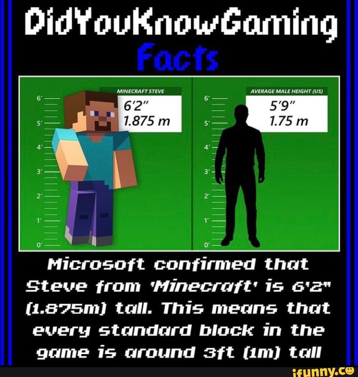 DidYouKnowGaming Facts (MINECRAFT STEVE AVERAGE MALE HEIGHT (US) 1.875 ...