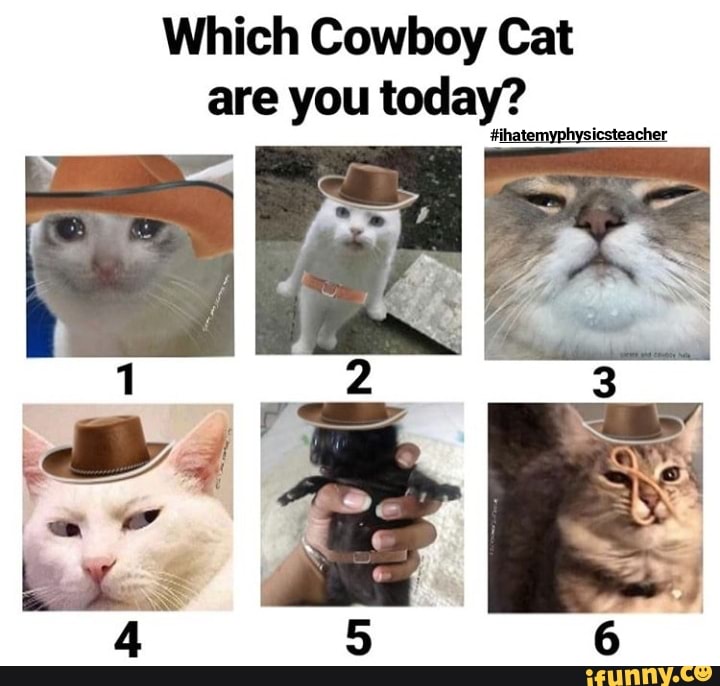 Which Cowboy Cat are you today? - iFunny Brazil