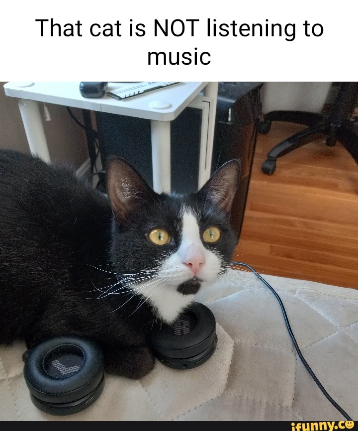 Listening To Music Meme