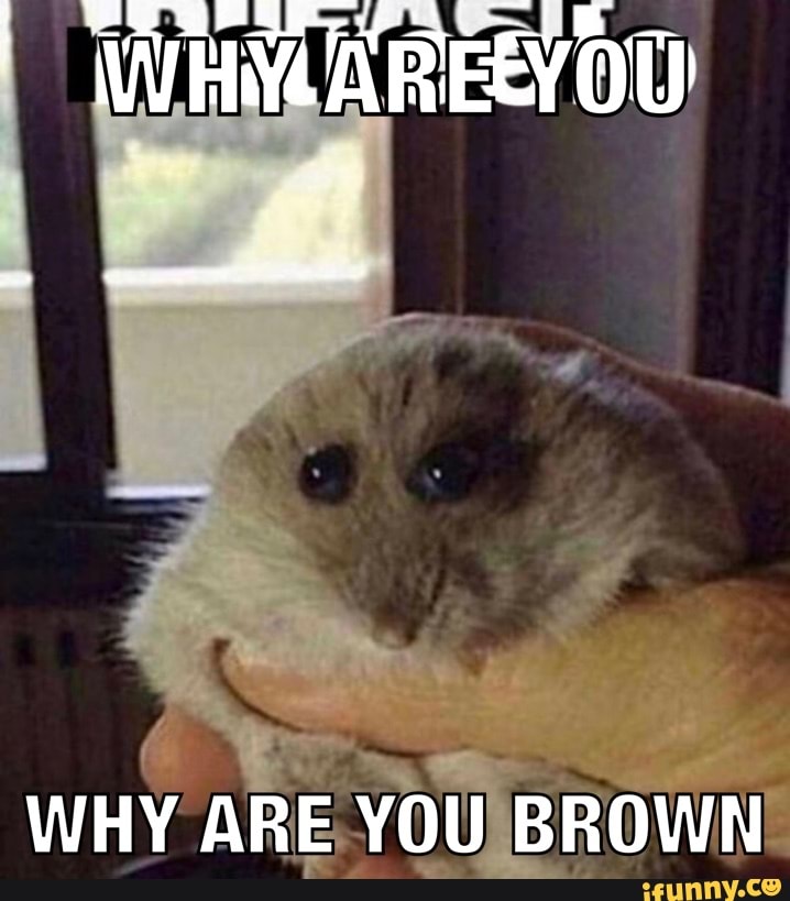 Meme memes KeOHSRNt7 by KingFrog__2018: 8 comments - iFunny Brazil