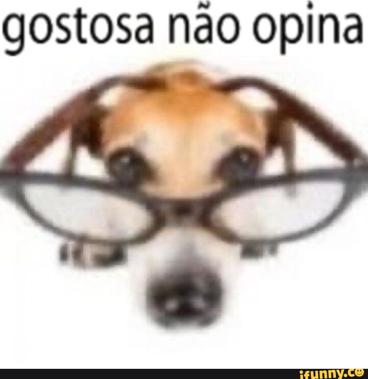 Gostosa Não Opina Ifunny Brazil