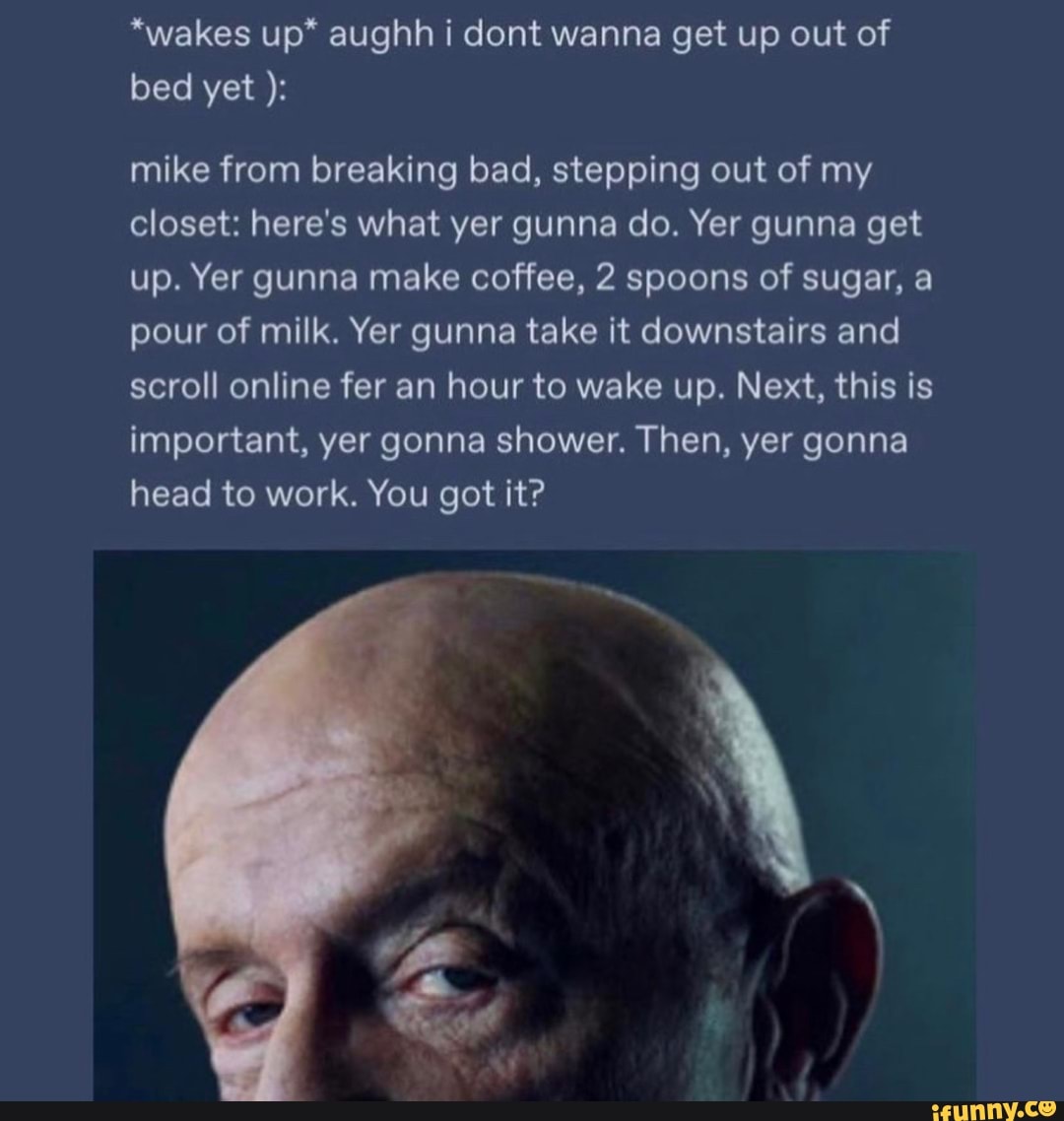 Mike Meme Breaking Bad
