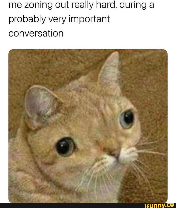 Me zoning out really hard, during a probably very important ...