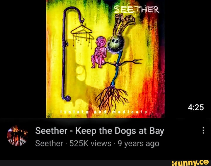 Seether Isolate And Medicate
