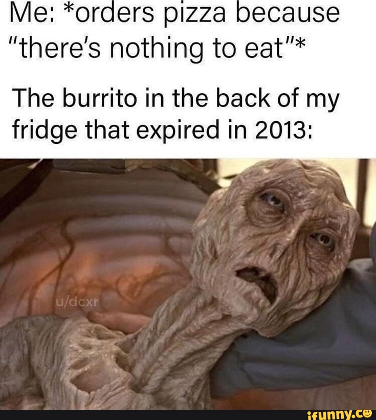 Burrito Meme
