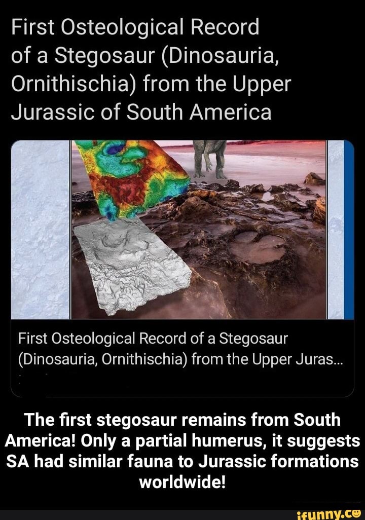 First Osteological Record of a Stegosaur (Dinosauria, Ornithischia ...