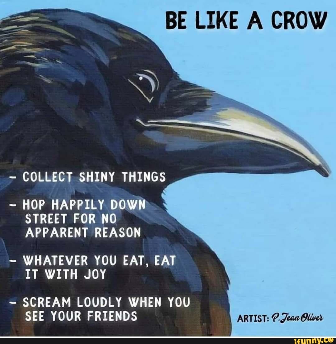 BE LIKE CROW COLLECT SHINY THINGS HOP HAPPILY DOWN: STREET FOR NO ...