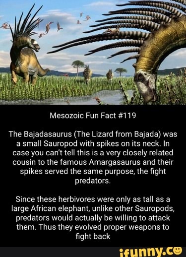 Mesozoic Fun Fact #119 The Bajadasaurus (The Lizard from Bajada) was a ...