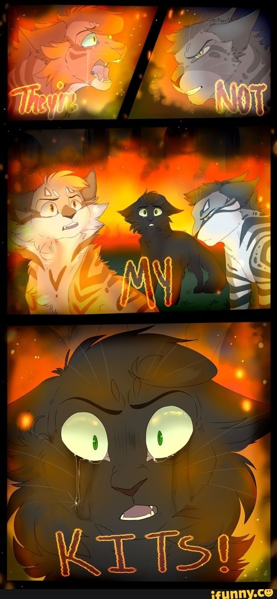 Hollyleaf And Ashfur