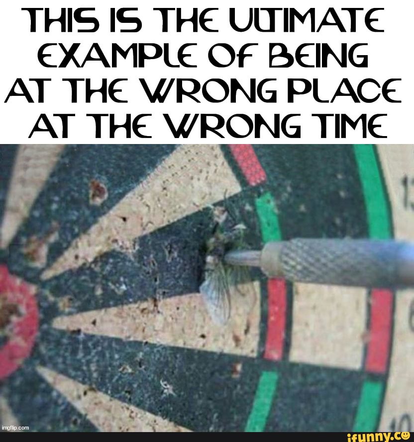 He got the point - THIS IS THE UUIMATE EXAMPLE OF BEING AT THE WRONG PLACE AT THE WRONG TIME ...