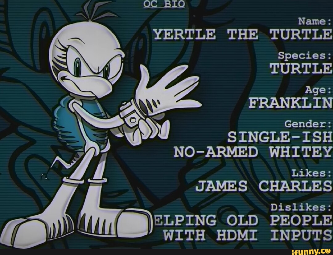 OC BIO Name: YERTLE THE TURTLE Species: TURTLE Age: FRANKLIN Gender ...