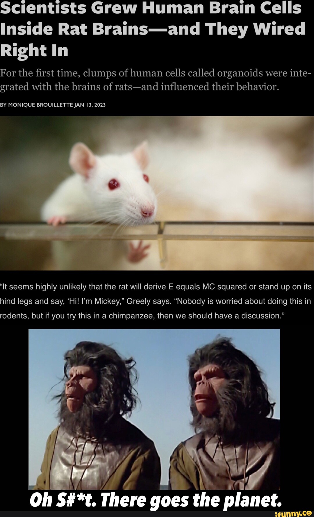 Scientists Grew Human Brain Cells Inside Rat Brains-and They Wired ... Scientists Grew Human Brain Cells Inside Rat Brains-and They Wired ...