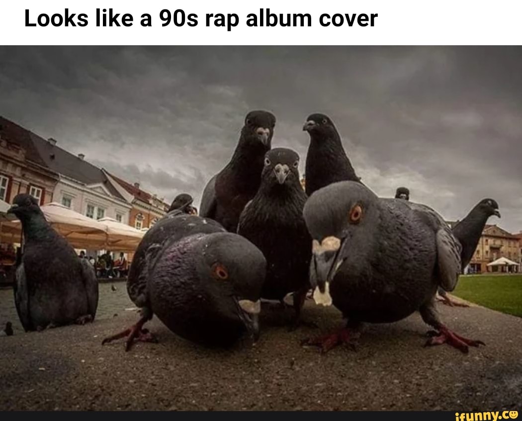 Looks like a 90s rap album cover - iFunny Brazil