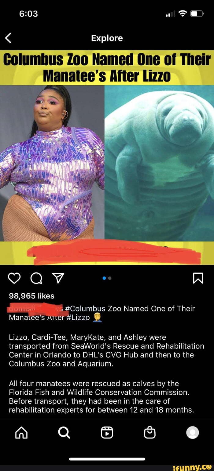 Explore Columbus Zoo Named One of Their Manatee's After Lizzo 'Columbus ...